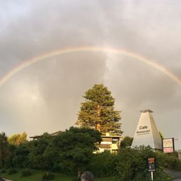 HUHU CAFE - Updated July 2025 - 145 Photos & 54 Reviews - 10 Waitomo ...