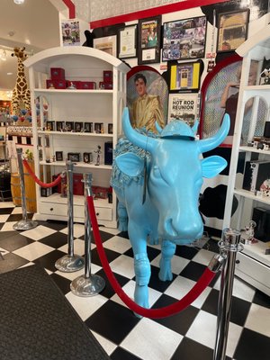 IMAGINE GIFT STORE - Updated August 2025 - 52 Photos & 37 Reviews - 5 ...