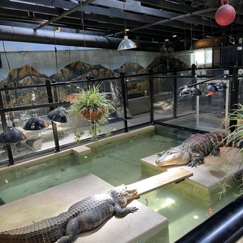 PHILLIPS PARK ZOO - Updated November 2024 - 233 Photos & 102 Reviews ...