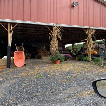 TOP 10 BEST Christmas Tree Farm near Nesquehoning, PA 18240 - Updated ...