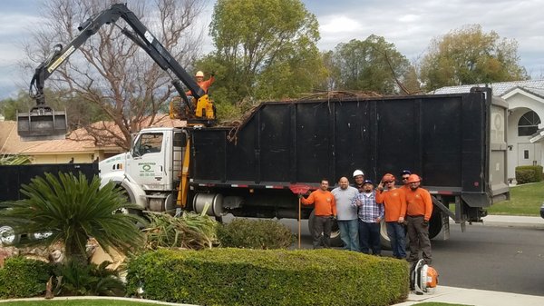 RANCHO TREE SERVICE - Updated January 2026 - 41 Photos & 44 Reviews ...