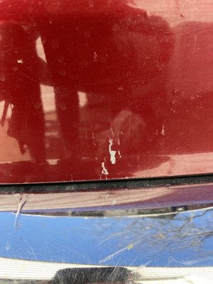 FLEET FARM - Updated December 2025 - 19 Reviews - 1555 Pabst Farms Blvd ...