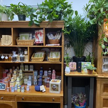 CITY GROWS - Updated December 2025 - 54 Photos & 30 Reviews - 5208 ...