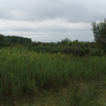 CUBA MARSH FOREST PRESERVE - Updated November 2025 - 48 Photos & 15 ...