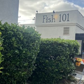 FISH 101 - Updated December 2025 - 1163 Photos & 1513 Reviews - 1468 N ...