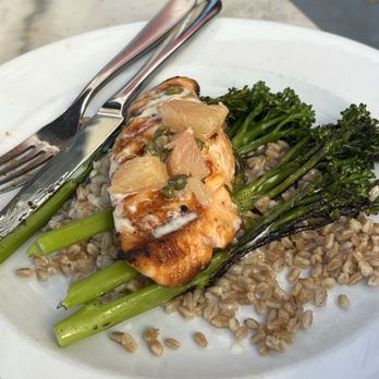 VIVACE - Updated June 2025 - 449 Photos & 421 Reviews - 4209 Lassiter ...