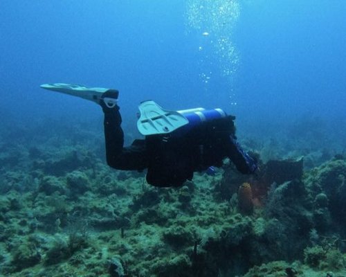 SCUBA SHACK - Updated September 2025 - 12 Reviews - 3318 Berlin ...