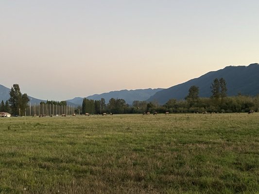 THREE FORKS NATURAL AREA - Updated July 2025 - 39912 SE Park St ...