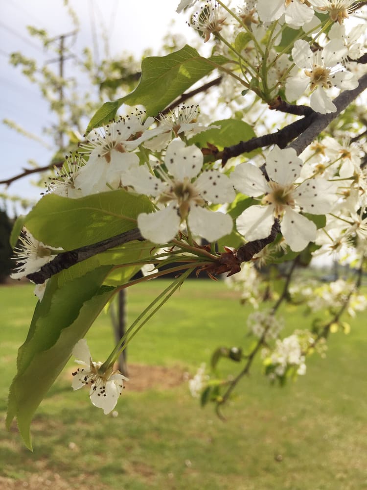 CONSTITUTION PARK - Updated December 2025 - 13 Photos - 800-838 ...