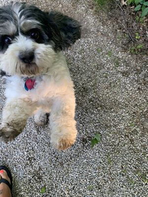 WAYNE COUNTY HUMANE SOCIETY - Updated December 2025 - 1161 ...