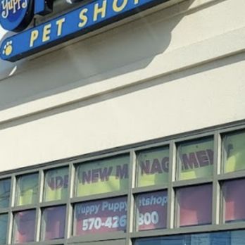 YUPPY PUPPY - Updated December 2025 - 292 Frantz Rd, Stroudsburg ...