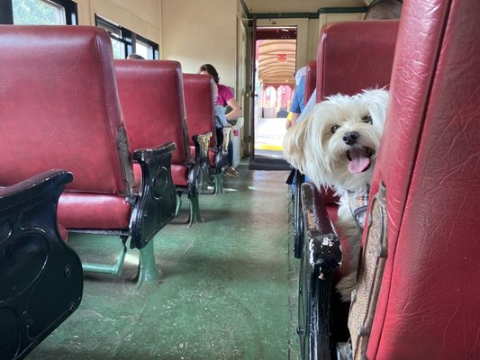 SKUNK TRAIN NORTHSPUR STATION - Updated March 2024 - 16 Photos - 12850 ...