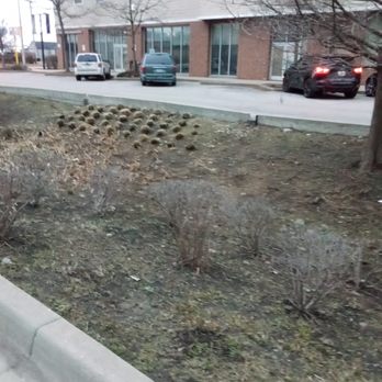 HOLSTEN MANAGEMENT - Updated November 2025 - 10 Photos & 10 Reviews ...