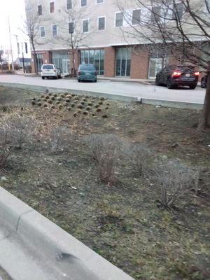 HOLSTEN MANAGEMENT - Updated November 2025 - 10 Photos & 10 Reviews ...