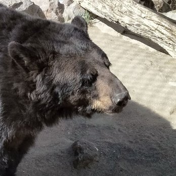 ANIMAL ARK - Updated October 2025 - 514 Photos & 161 Reviews - 1265 ...