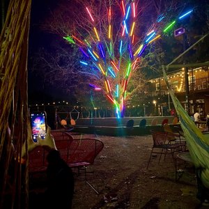 AXELRAD - 1061 Photos & 1205 Reviews - 1517 Alabama St, Houston, TX ...