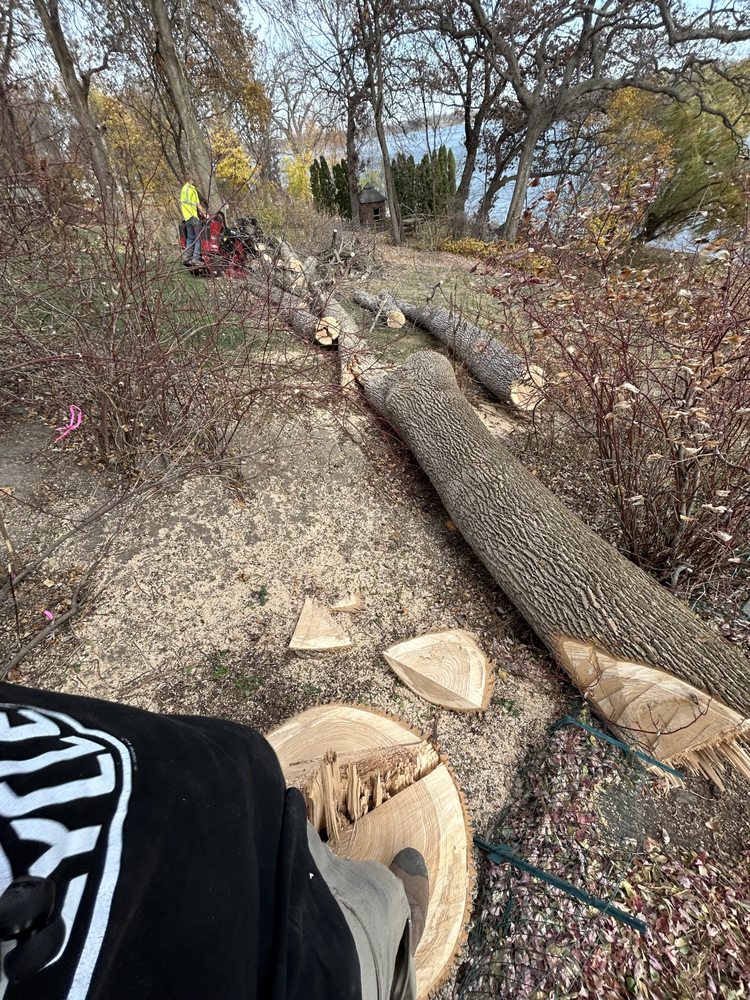 THE TWO HATS TREE SERVICE - Updated October 2024 - Coon Rapids ...