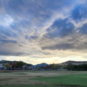 PATSY T. MINK CENTRAL OAHU REGIONAL PARK - Updated November 2024 - 679 ...
