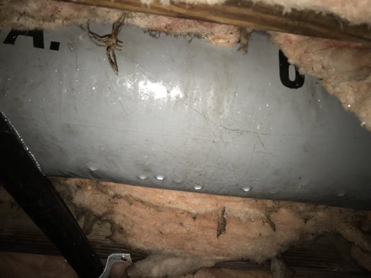 A PERMATREAT PEST & TERMITE CONTROL - Updated December 2025 - 10 Photos ...