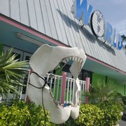 SHELL WORLD - 152 Photos & 85 Reviews - Gift Shops - 97600 Overseas Hwy ...