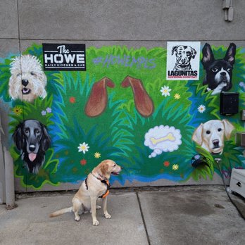 THE HOWE DAILY KITCHEN & BAR - Updated December 2024 - 326 Photos & 384 ...