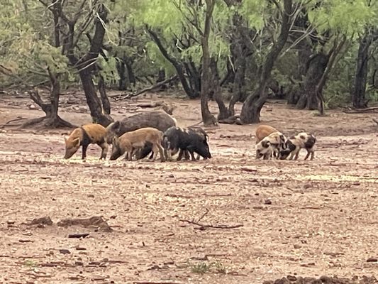 DOS PLUMAS HUNTING RANCH - Updated October 2025 - 1760 County Road 161 ...