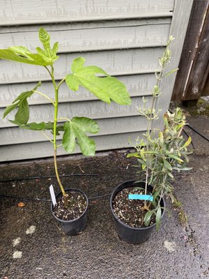 ONE GREEN WORLD - Updated December 2025 - 83 Photos & 86 Reviews - 6469 ...