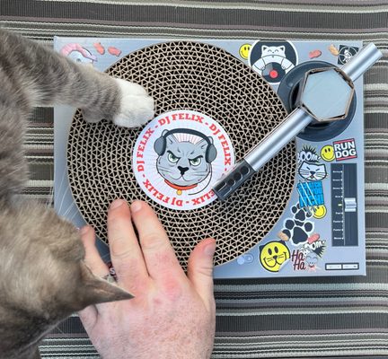 THE SPICY PURRITO CAT BOUTIQUE - Updated December 2025 - 34 Jay St ...