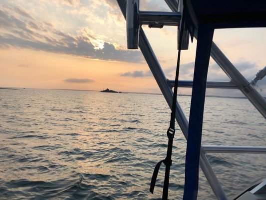 RAM ISLAND ADVENTURES - 10 Photos - Mystic, CT - Yelp