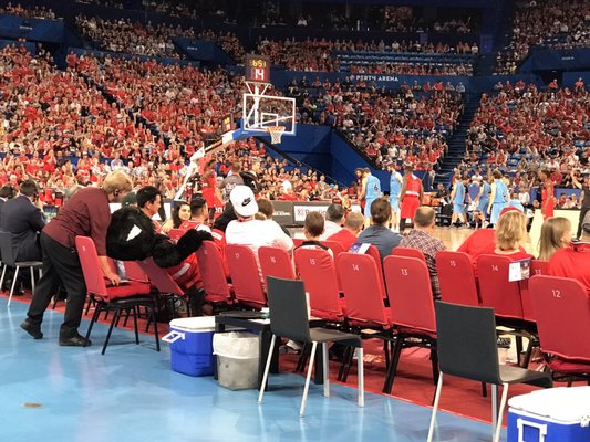 RAC ARENA - Updated June 2025 - 101 Photos & 26 Reviews - 700 ...