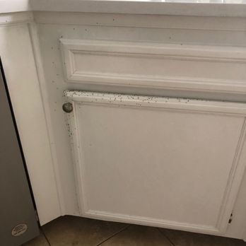 POW! BUG SQUAD - Updated January 2026 - 96 Photos & 108 Real Reviews ...