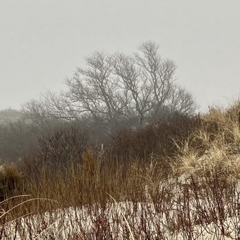 CHAPIN MEMORIAL BEACH - Updated September 2025 - 89 Photos & 33 Reviews ...