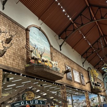 BASS PRO SHOPS - Updated January 2025 - 410 Photos & 165 Reviews - 71 ...