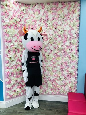 MILKSHAKE CITY - Updated March 2026 - 11 Photos - 2 Halliwick Court ...