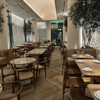 PREDALINA - Updated October 2024 - 706 Photos & 250 Reviews - 1001 E ...