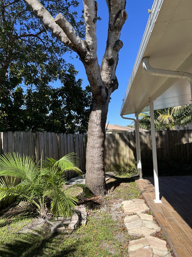 BAYAMITO & SONS TREE TRIMMING & STUMP REMOVAL - Updated October 2025 ...