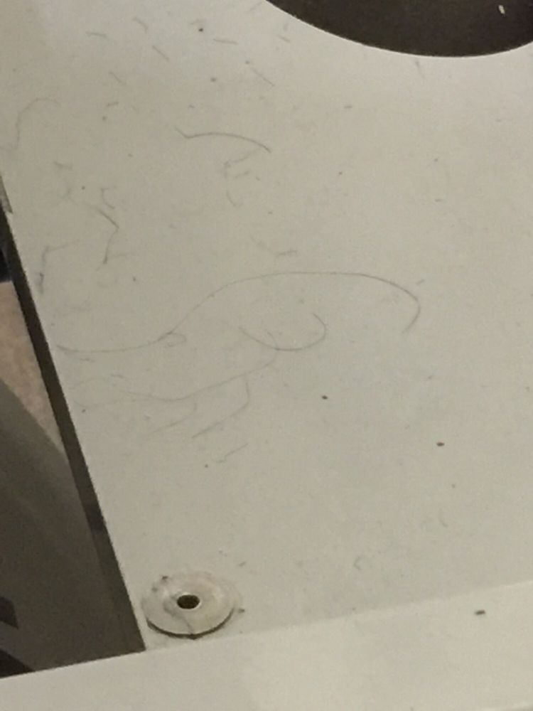 ABRAZO CENTRAL CAMPUS - 55 Photos & 165 Reviews - 2000 W Bethany Home ...