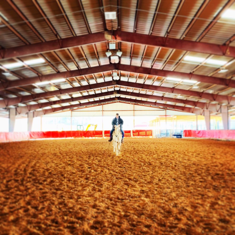 PENDRY PERFORMANCE HORSES - Updated September 2024 - 3993 Webster Rd ...