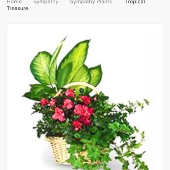 ROMULUS FLOWERS & GIFTS - Updated July 2025 - 39 Photos - 7563 Merriman ...