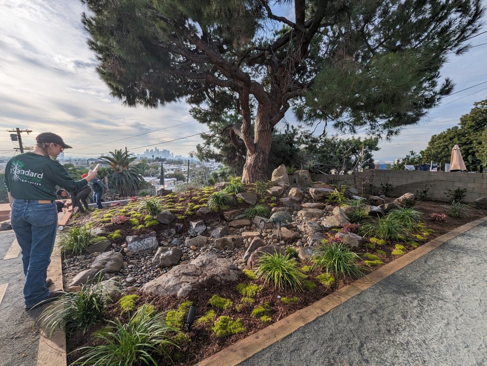 THE STANDARD DESIGN GROUP NURSERIES - Updated July 2025 - 17 Photos ...