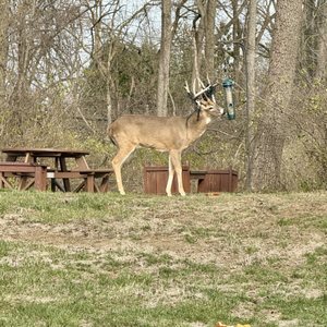 KOBACKER HOUSE-HOSPICE AT RIVERSIDE AND GRANT - Updated September 2025 ...