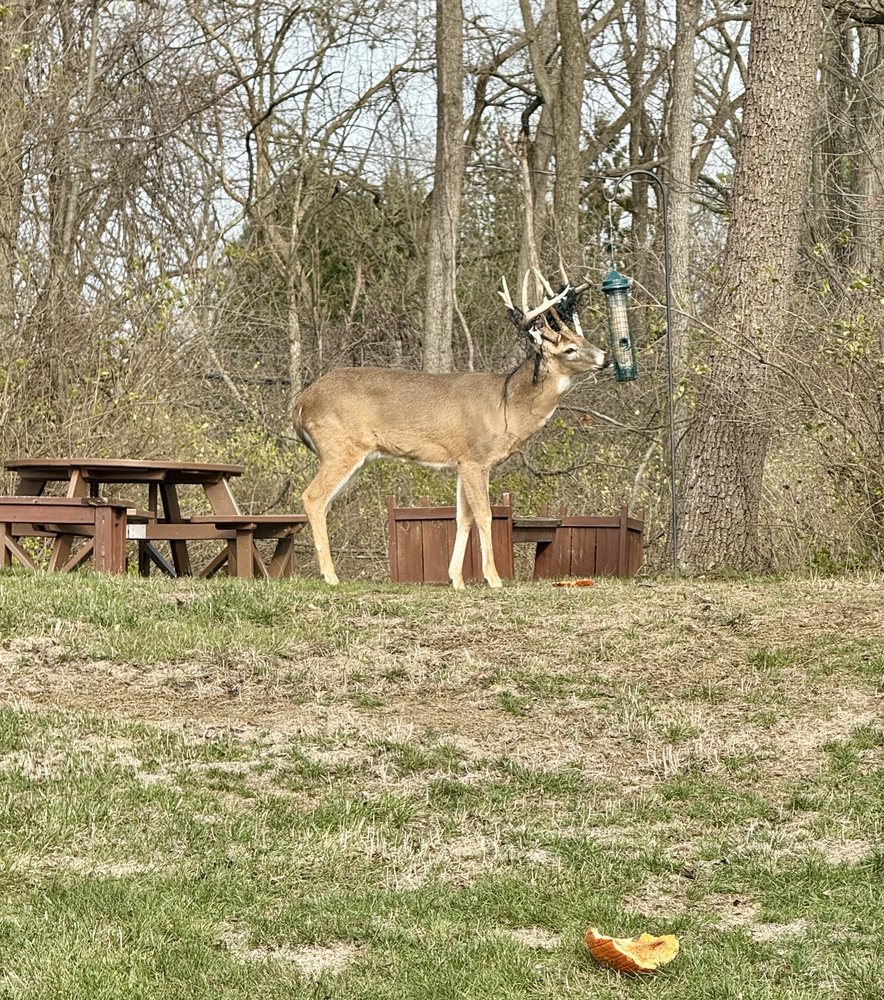 KOBACKER HOUSE - Updated January 2026 - 800 Mcconnell Dr, Columbus ...