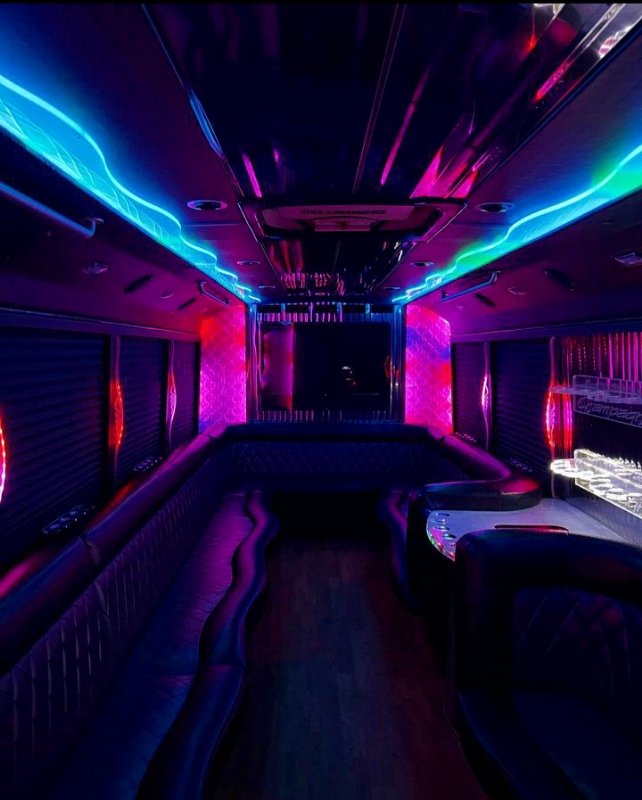Party Bus Rentals Tampa Bay - Trusted Since 2024 - Updated July 2025 ...