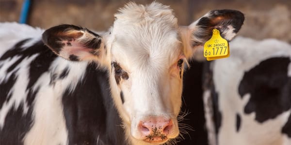 LEE VALLEY PARK FARMS - Updated July 2025 - 19 Photos - Stubbins Hall ...