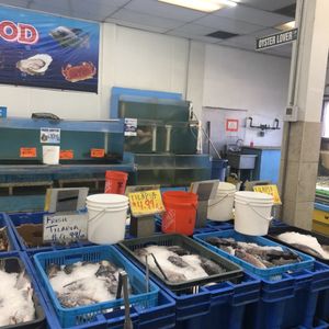 USA DAILY LIVE SEAFOOD MARKET - 151 Photos & 76 Reviews - 1436 Cherry ...