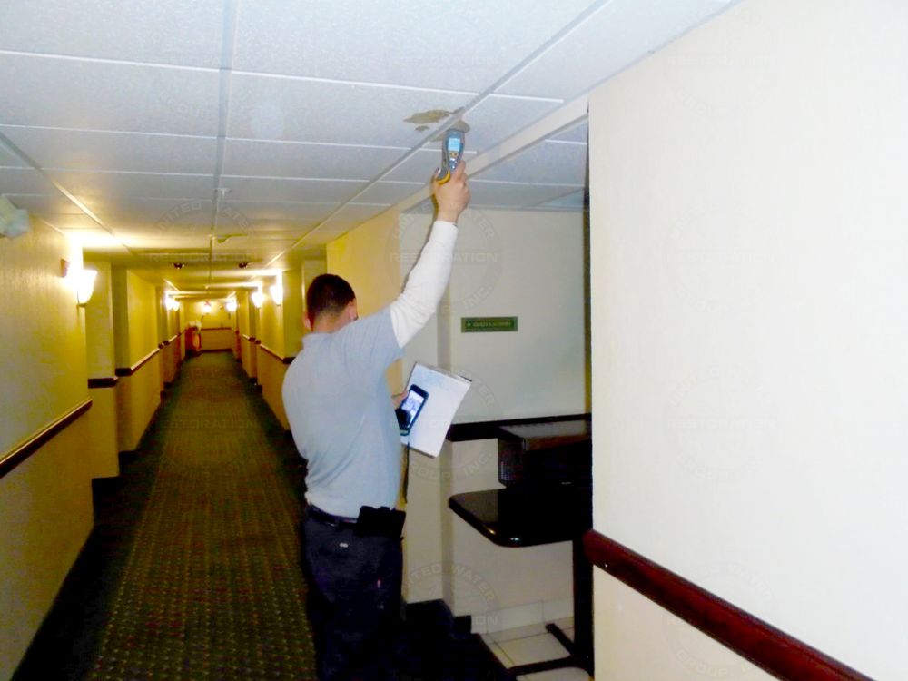 UNITED WATER RESTORATION GROUP - Updated December 2025 - 22 Photos & 14 ...