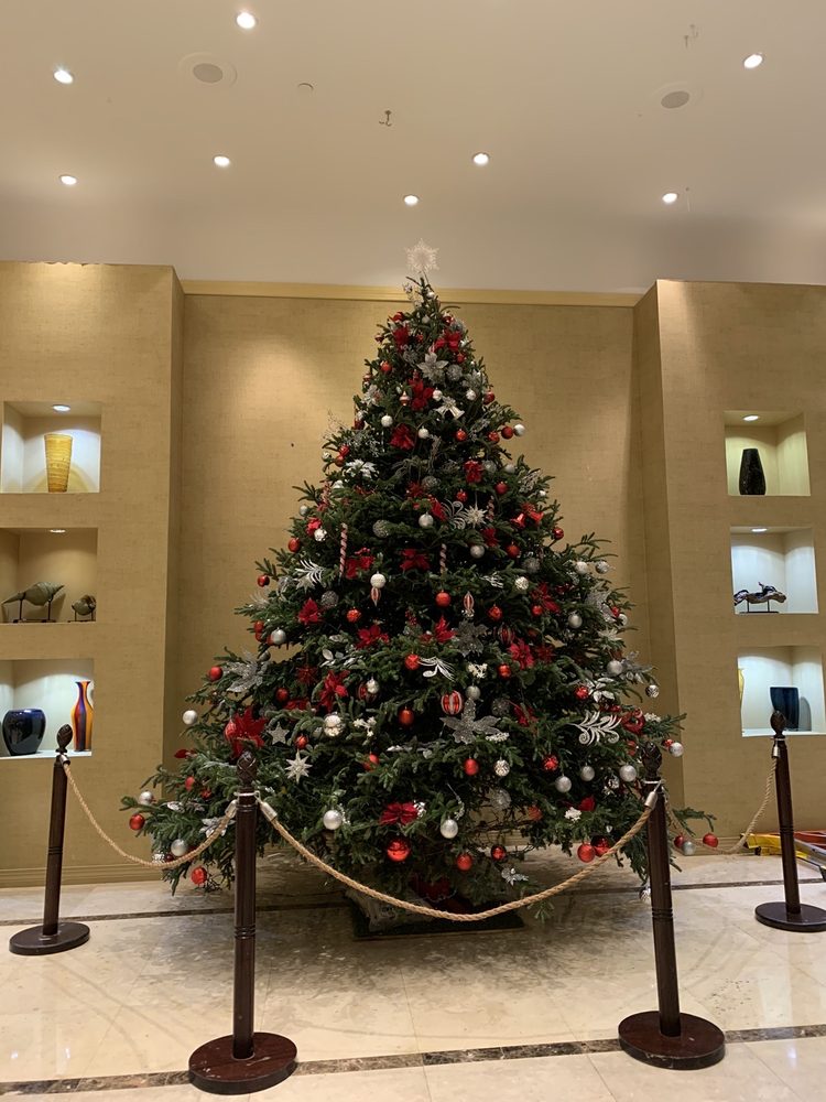 FOUR POINTS BY SHERATON MIAMI BEACH - 175 Photos & 191 Reviews - 4343 ...