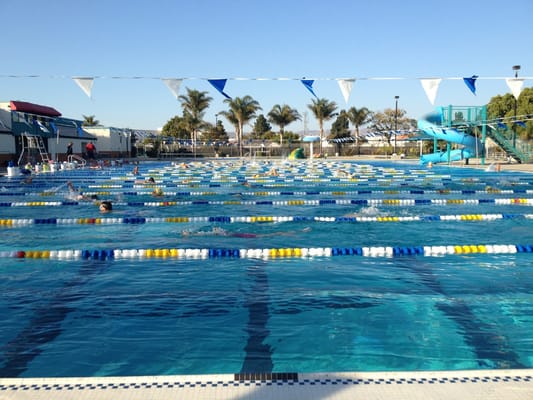 PAUL NELSON AQUATICS - Updated October 2025 - 10 Reviews - 516 S ...