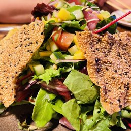 AMAKARA - Updated January 2026 - 5737 Photos & 3678 Reviews - 7568 ...