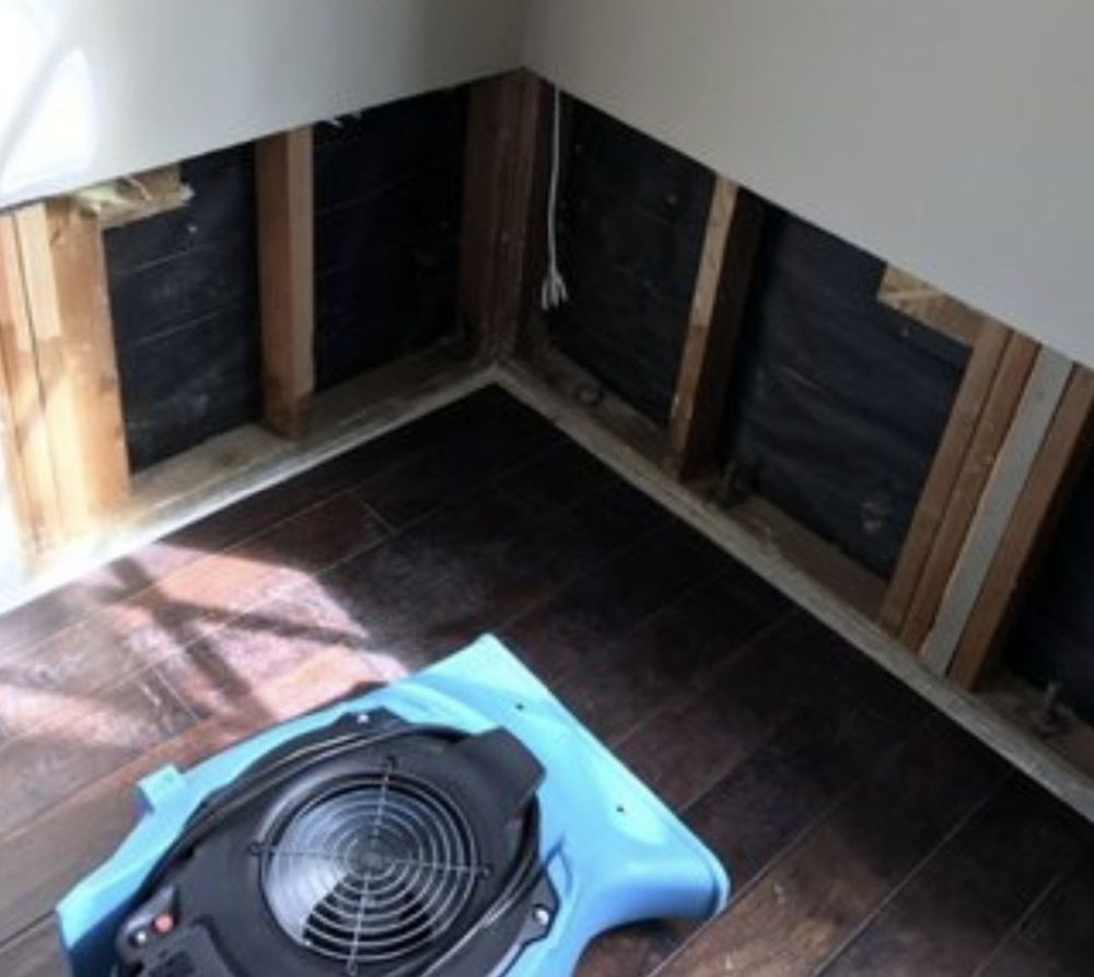 RAPID CLEAN RESTORATION - Updated November 2024 - 41765 Elm St ...